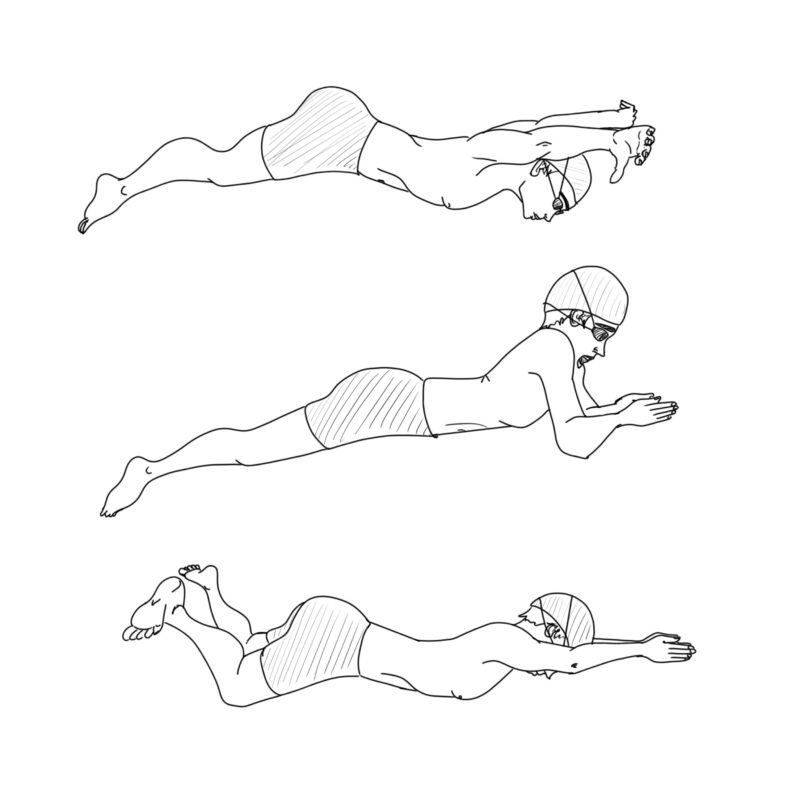 6/3/2019 Sharks – Swimming Lessons Ideas